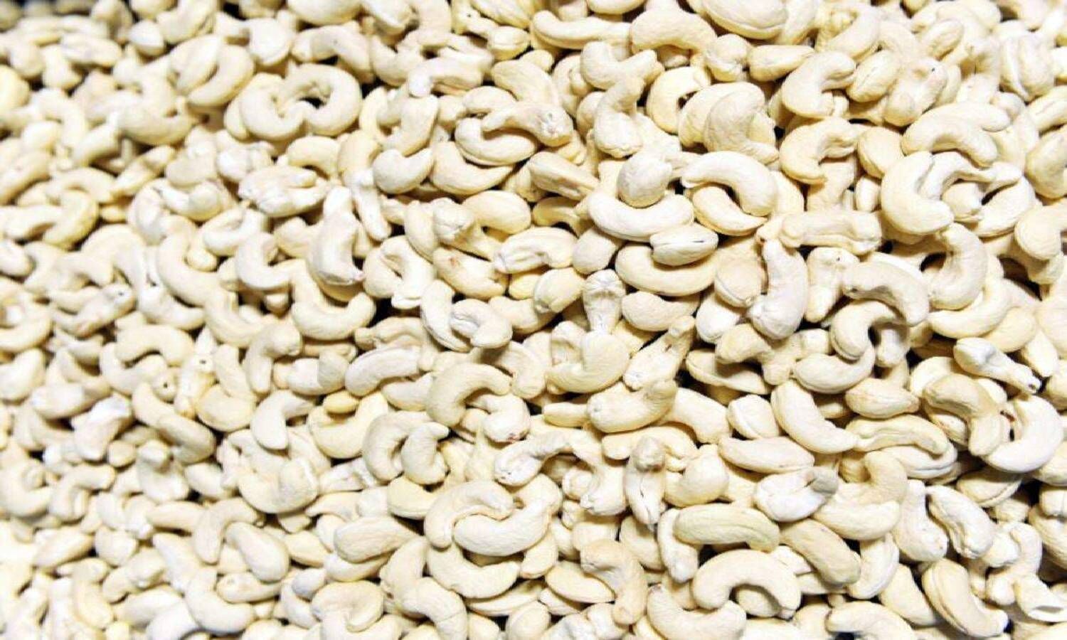 Famous Palasa cashew loses its sheen in Andhra Pradesh