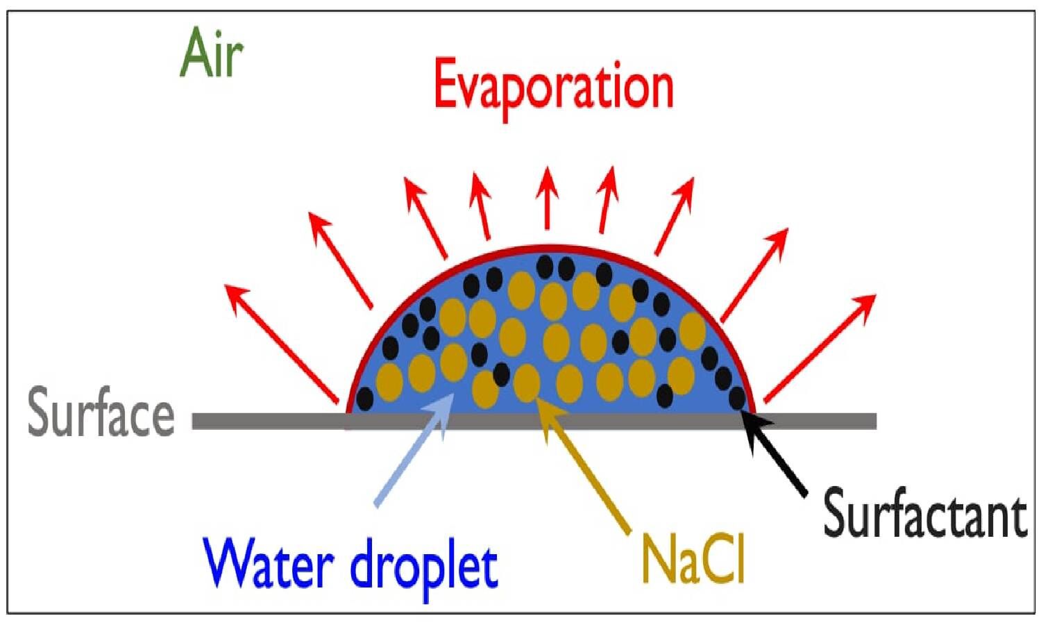 Infected droplets can stay longer on smartphone screens than on other ...