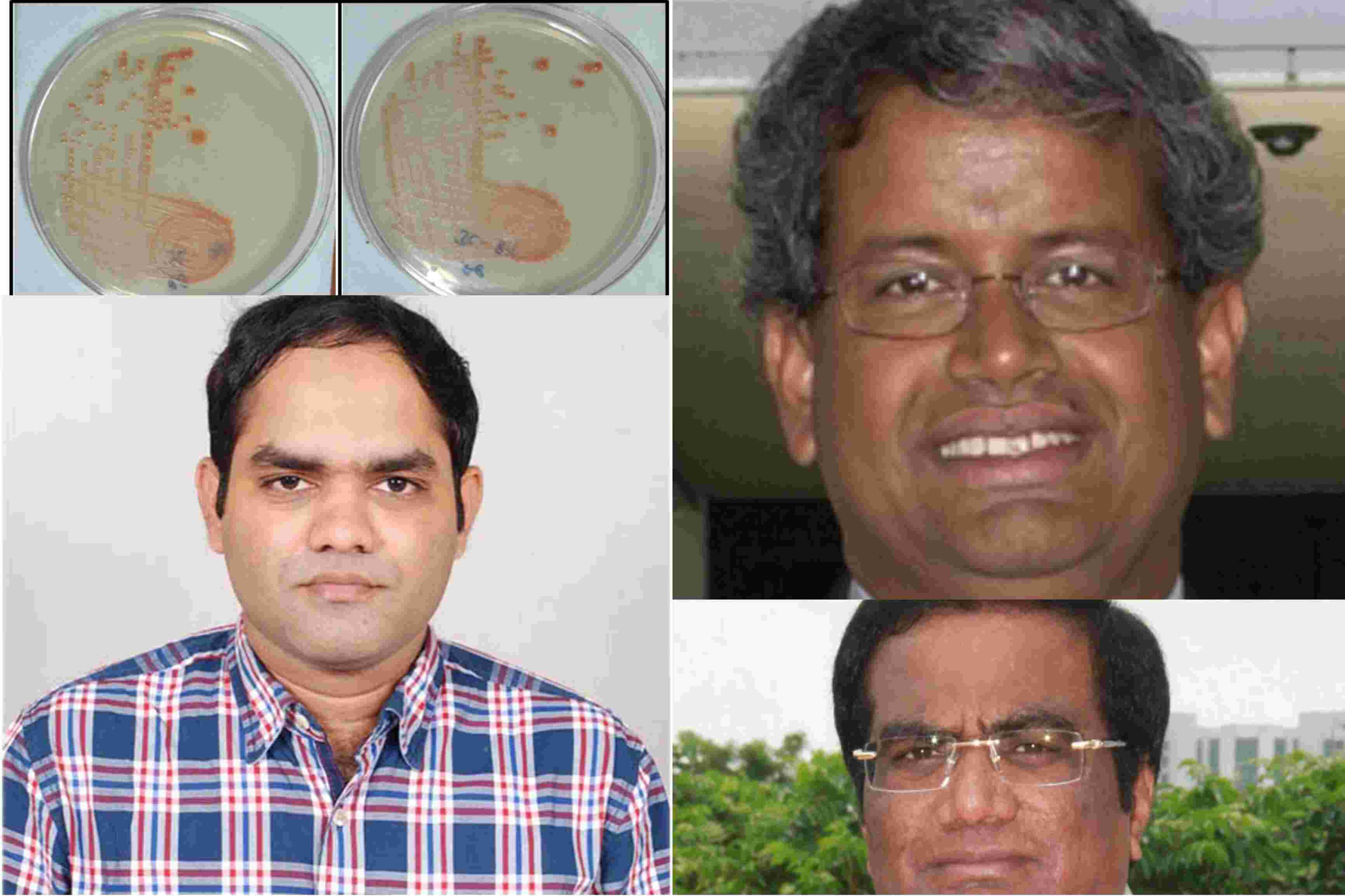 HCU, Nasa researchers discover new bacteria that could make space ...