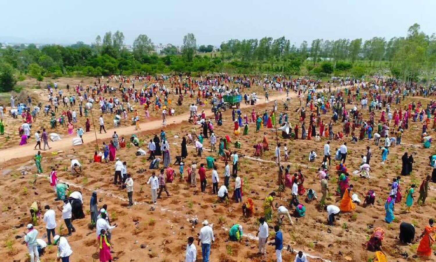 Adilabad MLA Jogu Ramanna plants 3.5L trees, enters Wonder Book of Records