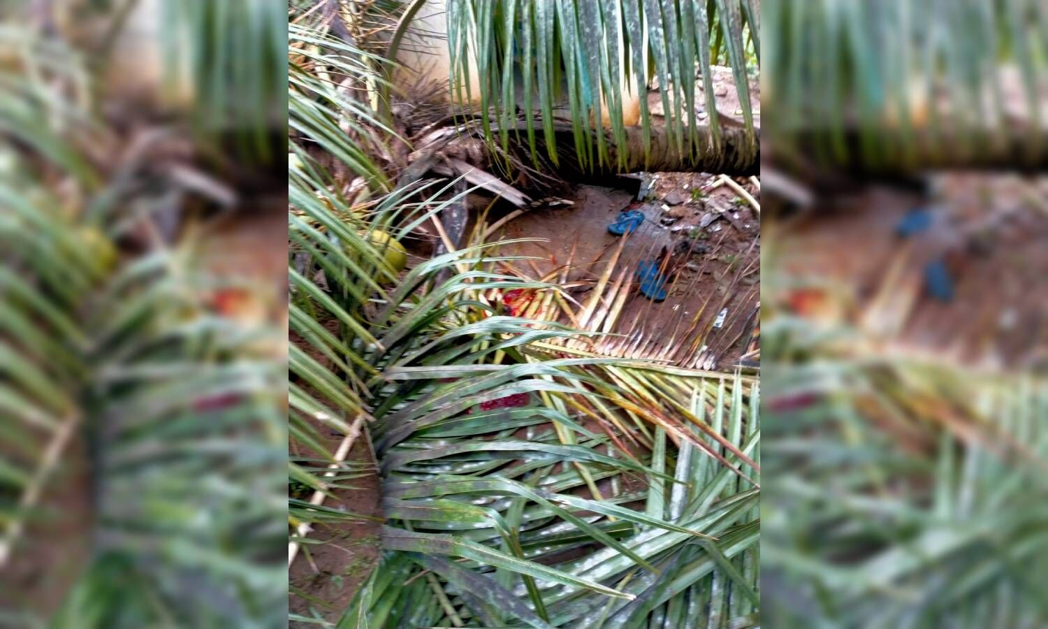 Relief for north coastal AP as cyclone Jawad weakens into deep ...