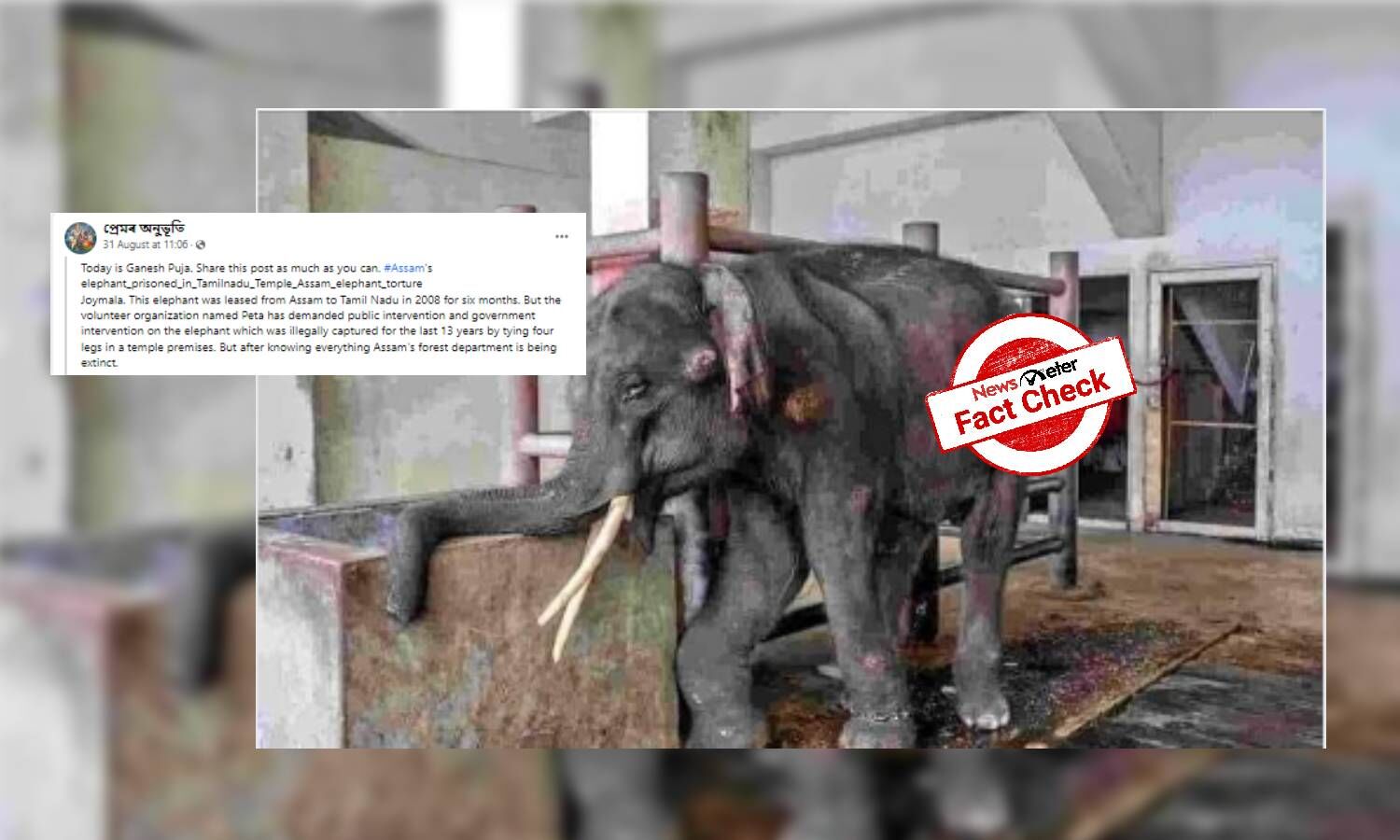 Viral image of injured elephant is from Thailand, not India