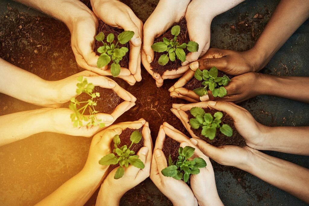 Vizag zoo, AP forest dept to launch eco clubs across Visakhapatnam