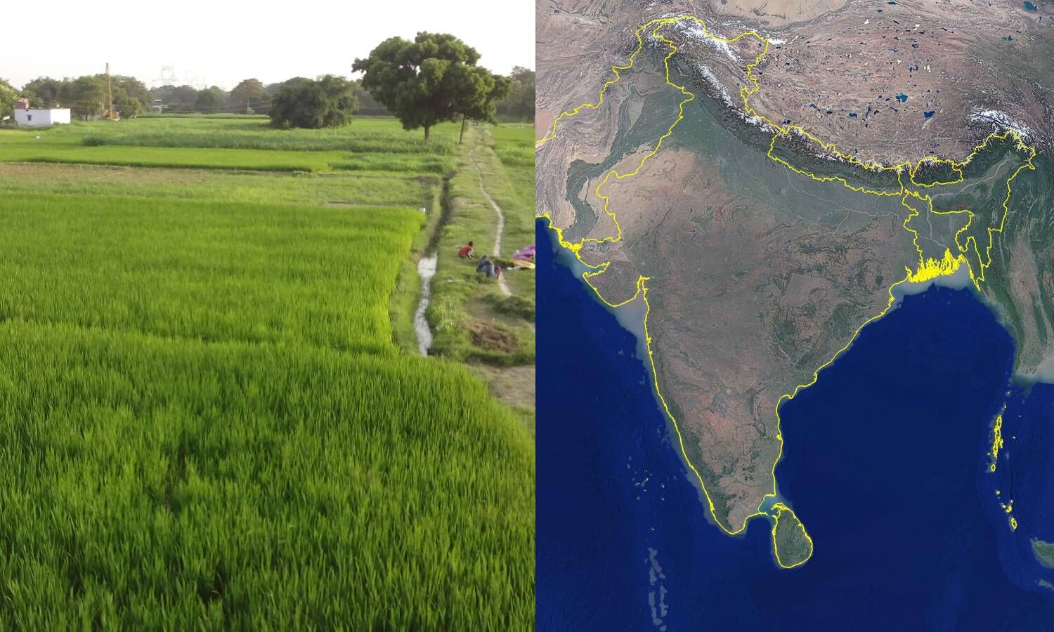 'Cropland mapping for Agri insurance claims': ICRISAT, ADB develop high ...