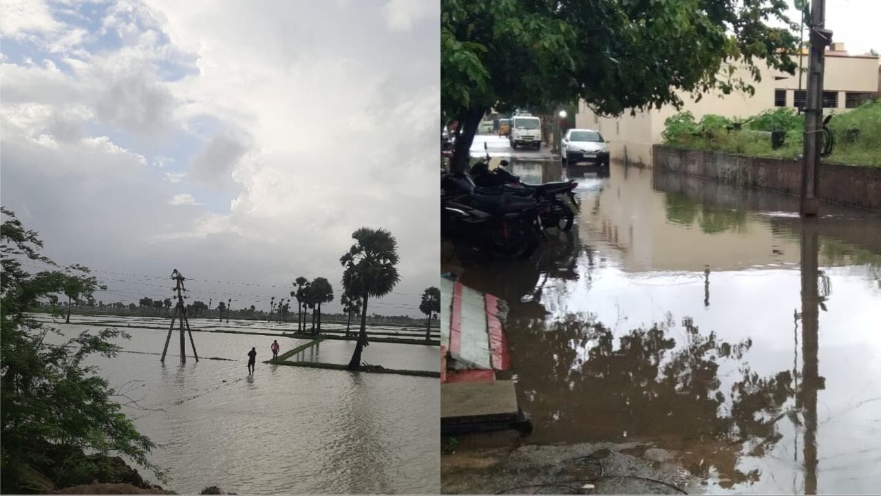 Cyclone 'Mandous' weakens: 42 divisions affected in Nellore, 126 relief centers set up