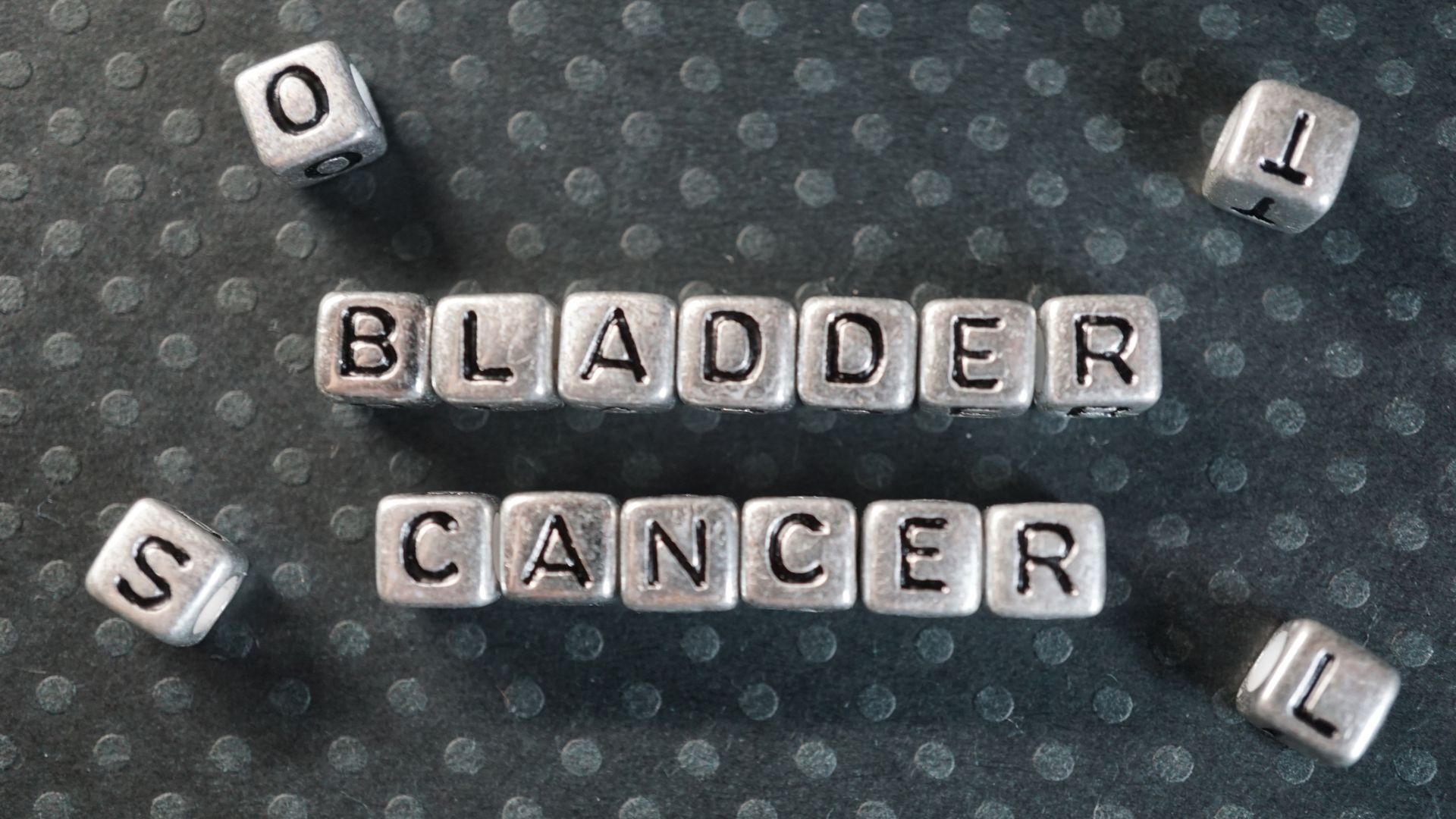 Carcinoma of the bladder: Understanding & raising awareness key, says ... Carcinoma of the bladder: Understanding & raising awareness key, says ...