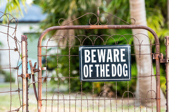 Dog warning features to signboards: How people can prevent canine ...