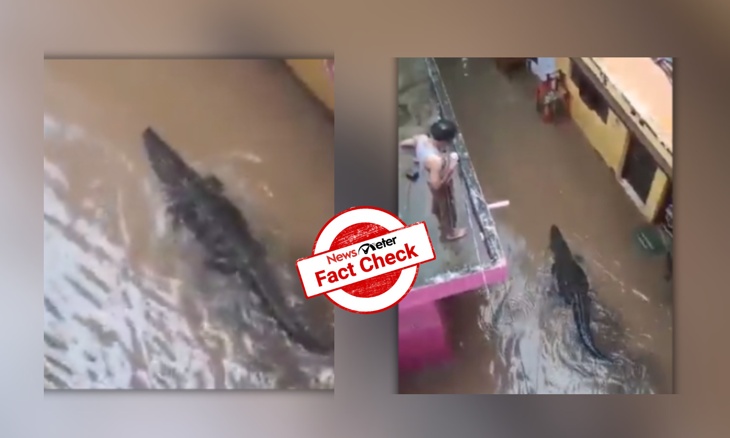 Fact Check: Video of crocodile in residential area is from MP, not Delhi