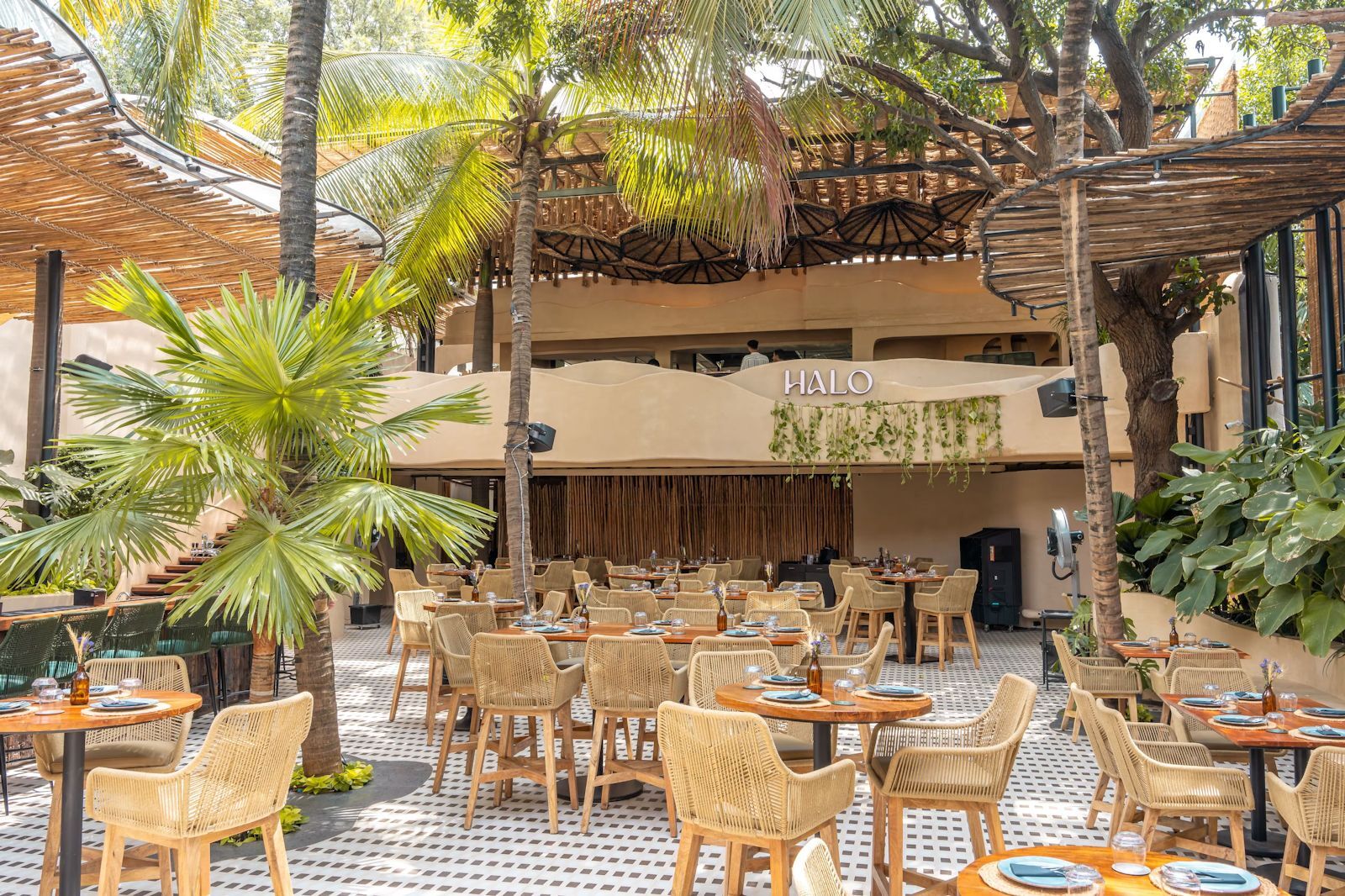 Halo: Hyderabad’s go-to place where every dish and drink is celebration of flavor