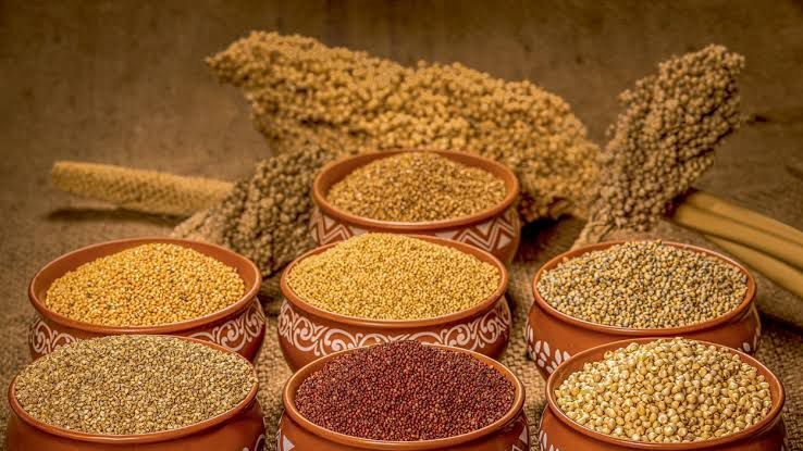 Experts back millets as future food, advocate social media for ...