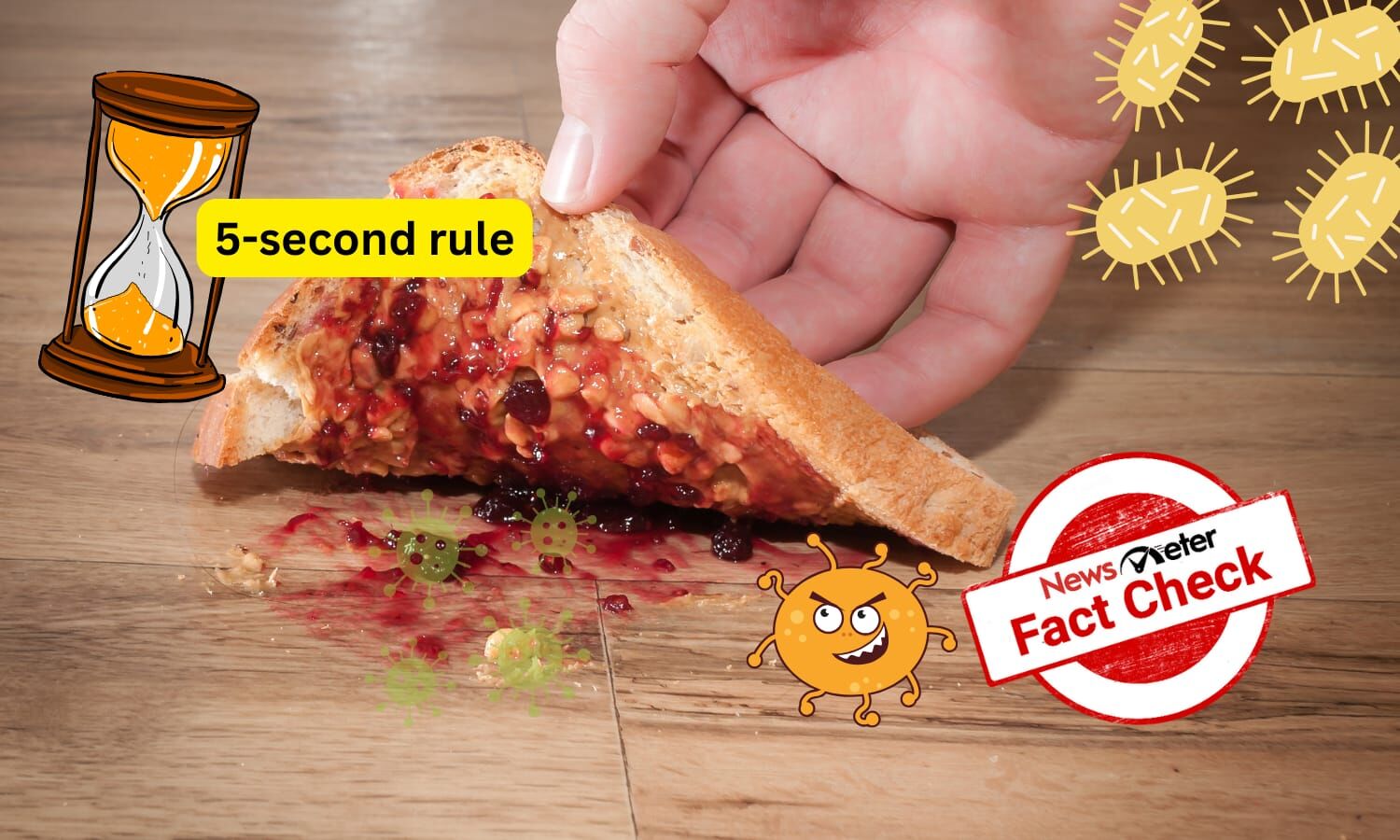 Fact Check: If you drop food but pick it up within five seconds, is it ...