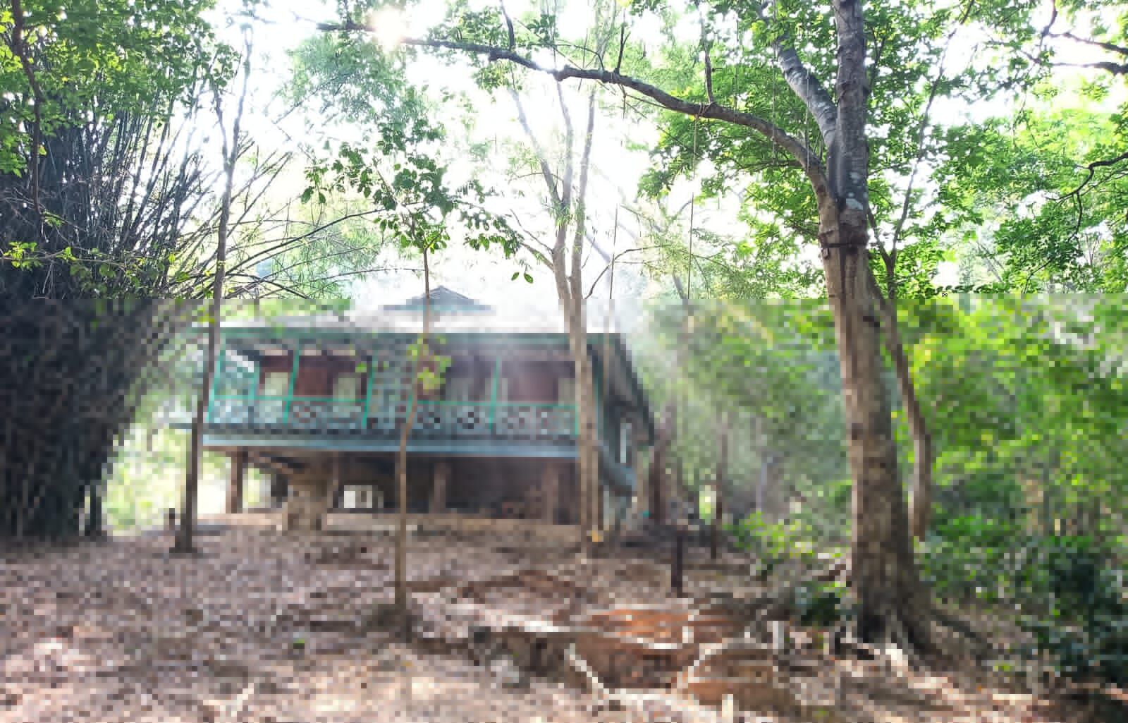 Come, detox digitally and rejuvenate in nature’s lap at hilly Tyda, Visakhapatnam