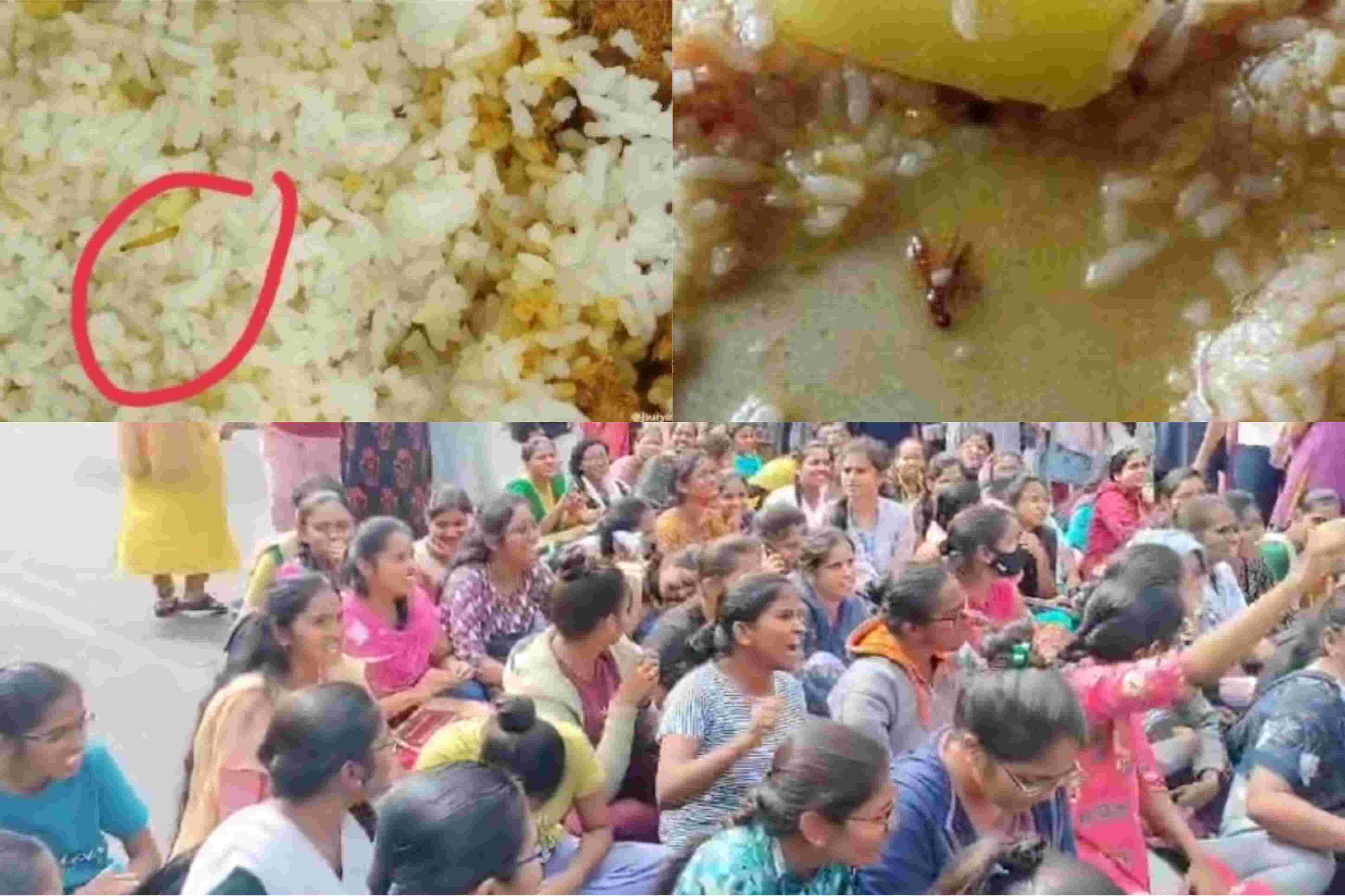 Osmania University students protest insect-infested food served at ...