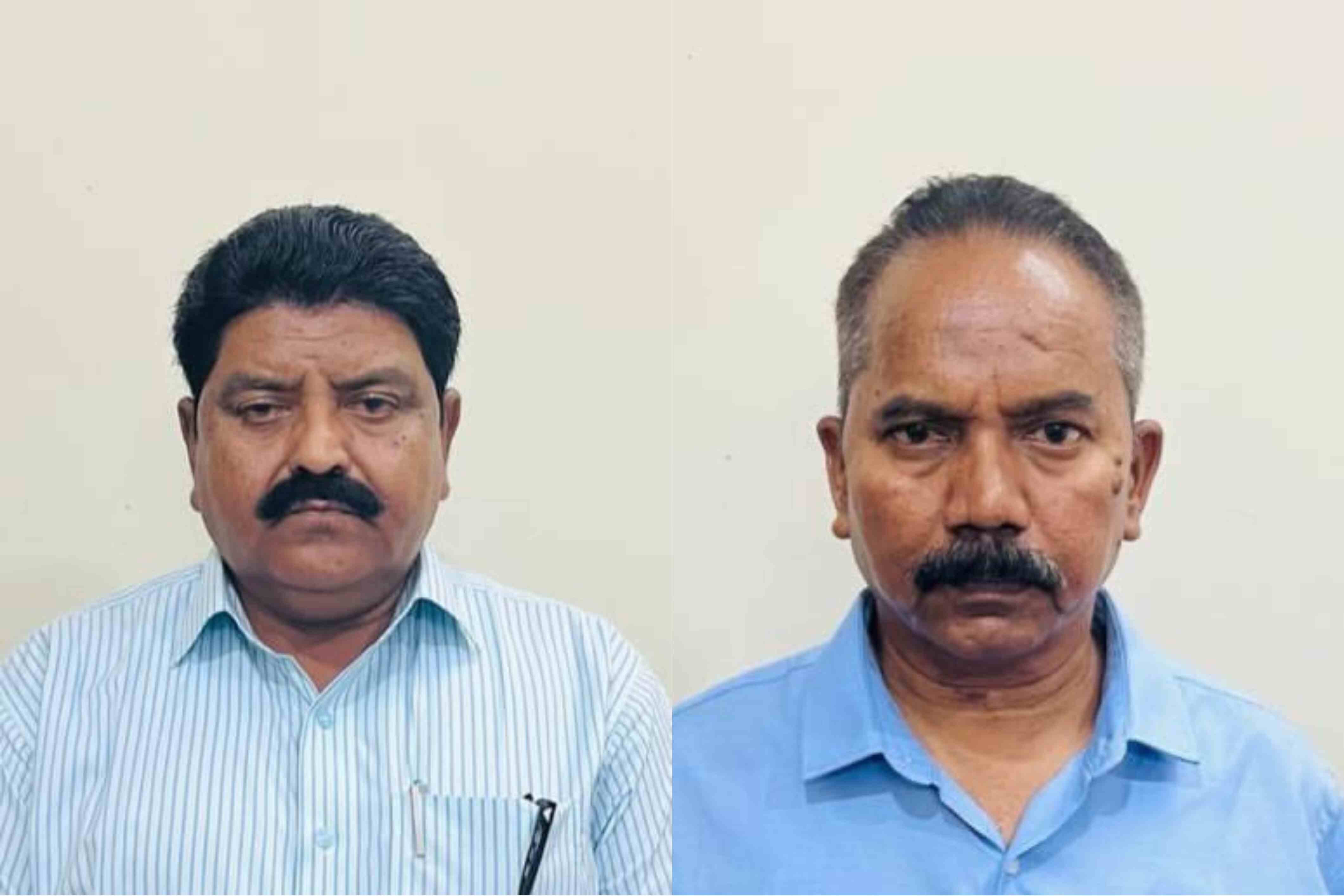 Sheep distribution scam: Animal Husbandry top officials arrested in ...