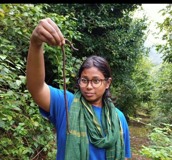 Two new earthworm species discovered in Odisha’s Koraput