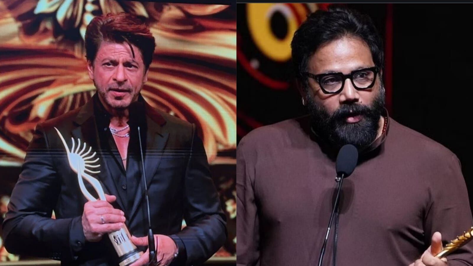 IIFA Awards: Shah Rukh wins best actor, 'Animal' named best film