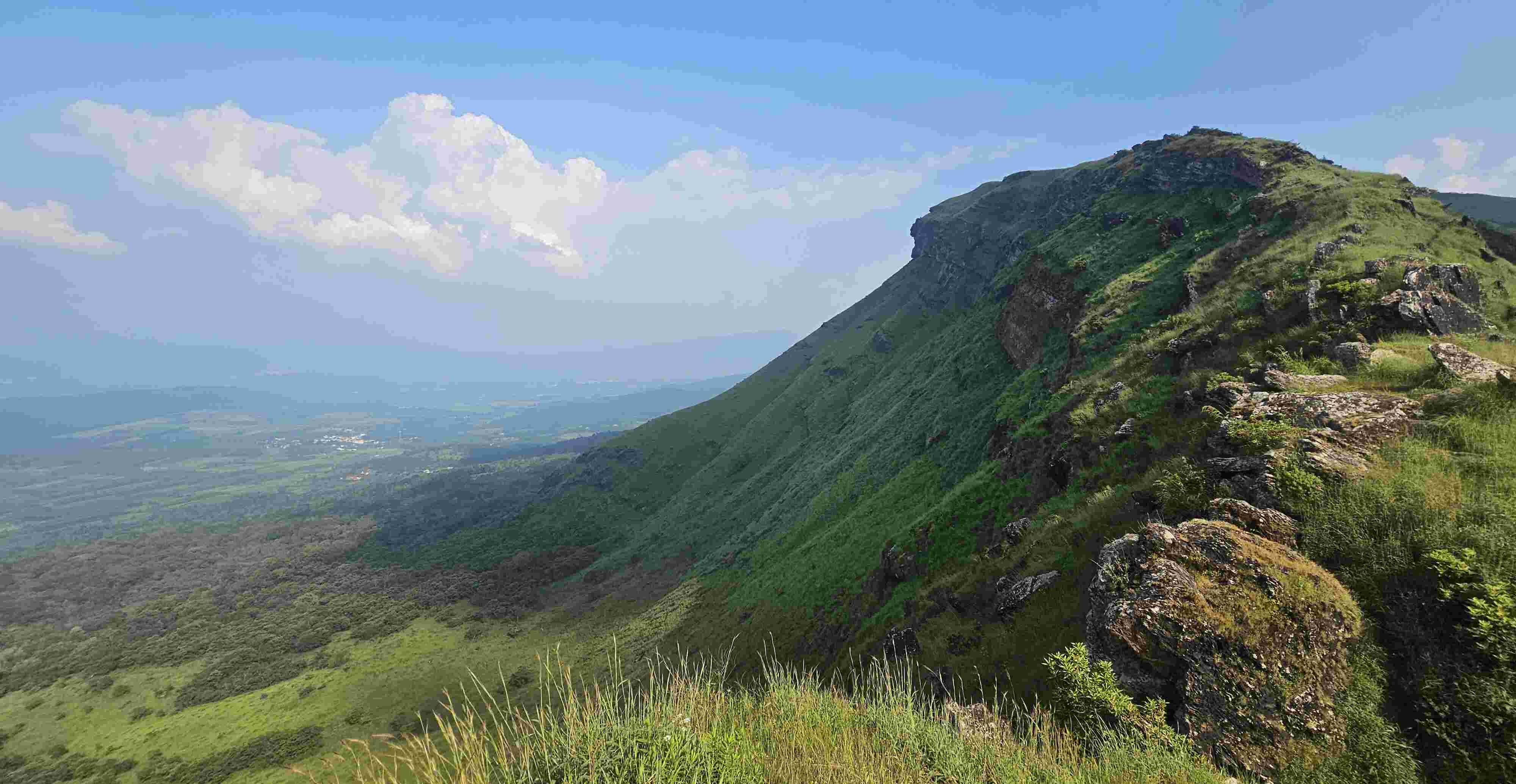 ISFR 2021: Andhra, Telangana forest cover increases in 5 years; Delhi’s ...