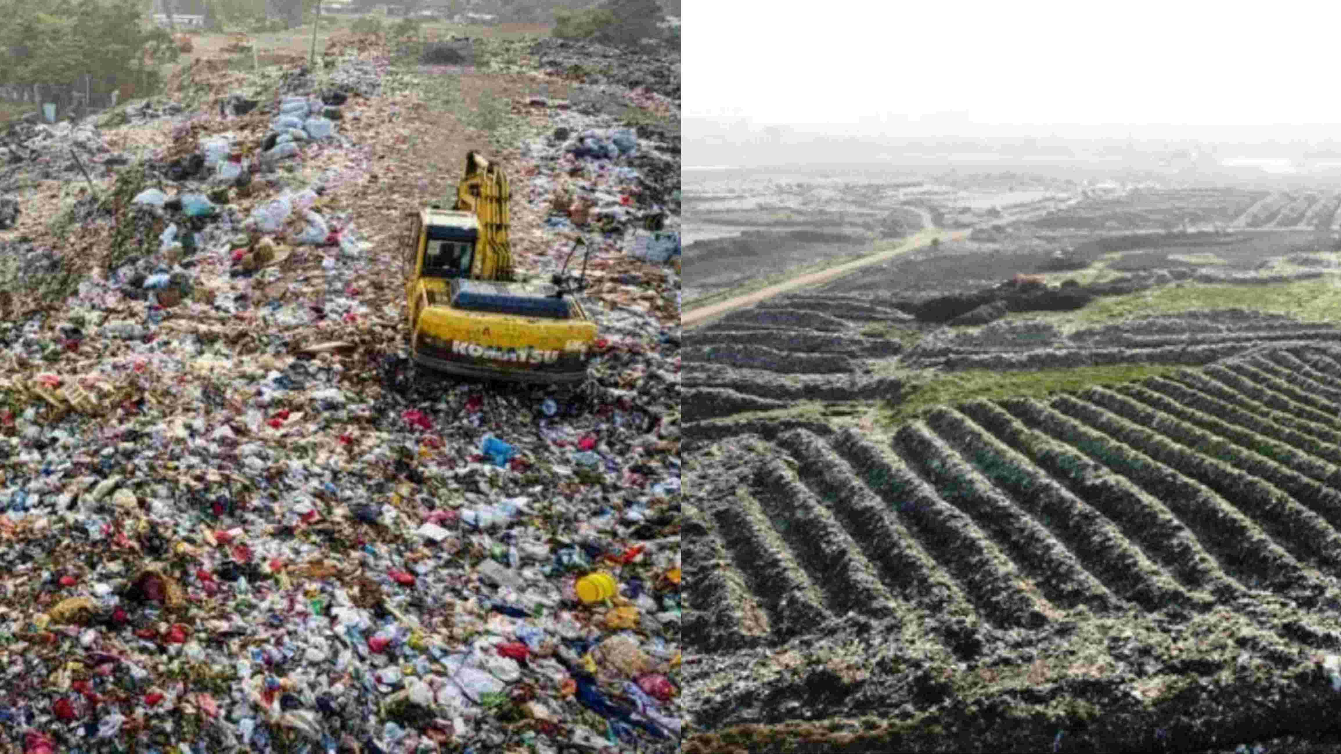 Chennai: Blue Planet reclaims 96 acres of land at India’s largest ...