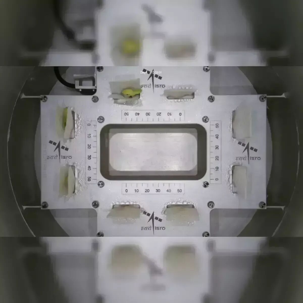 Cowpea seedlings onboard ISRO’s POEM-4 sprout first leaves in space