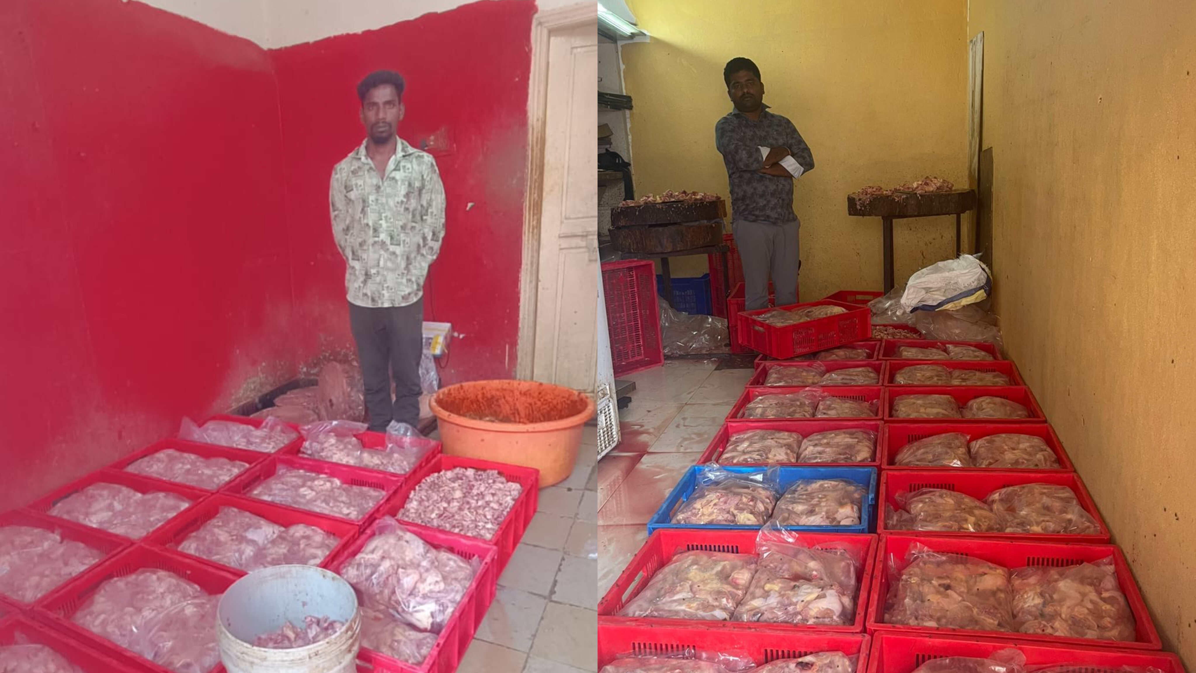 600 kg rotten chicken meat for fast food centres, wine shops seized ...