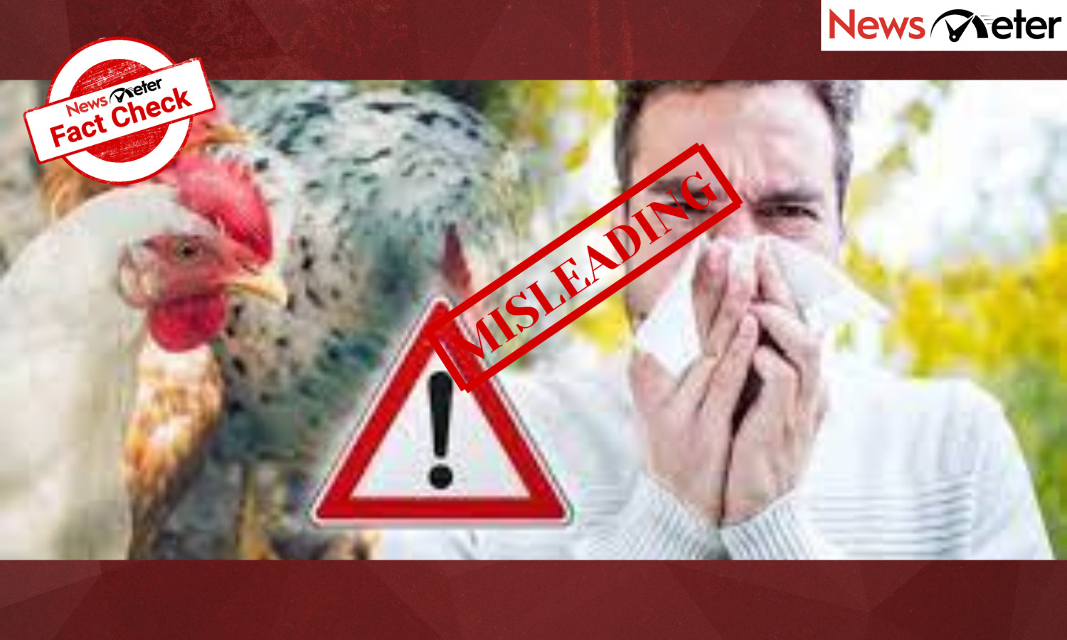 Fact Check: Can bird flu be transmitted to humans? Doctors say it’s ...