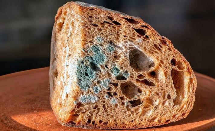 38% Indian consumers came across contaminated food; survey shows need ...