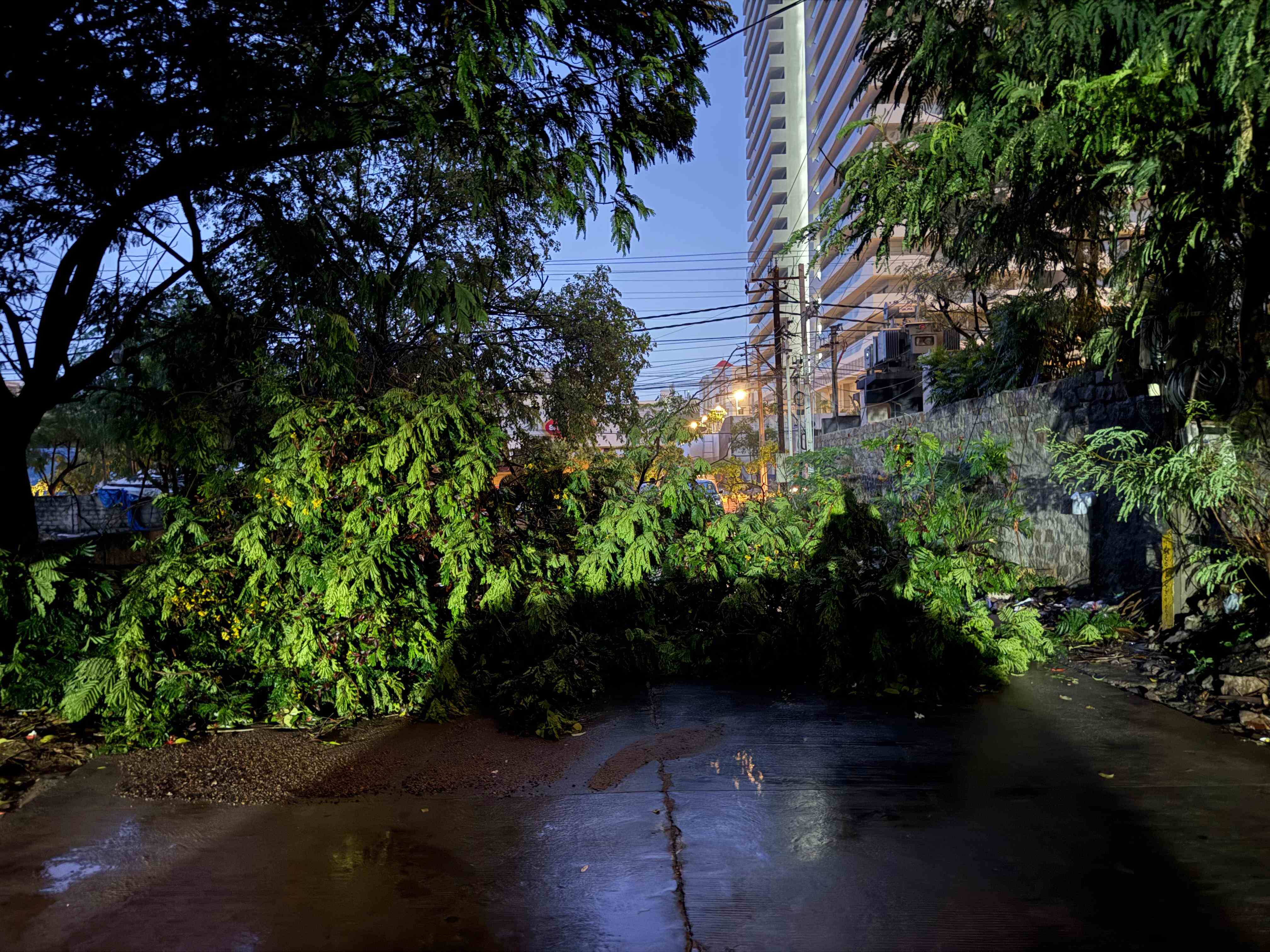 Hyderabad receives heavy rainfall, UoH records highest of 148.5 mm ...